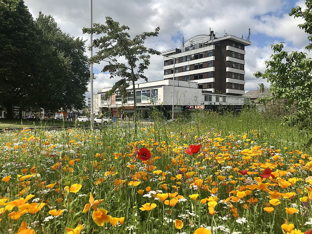 Flower power to bring colour to Burnley - Discover Burnley Town Centre